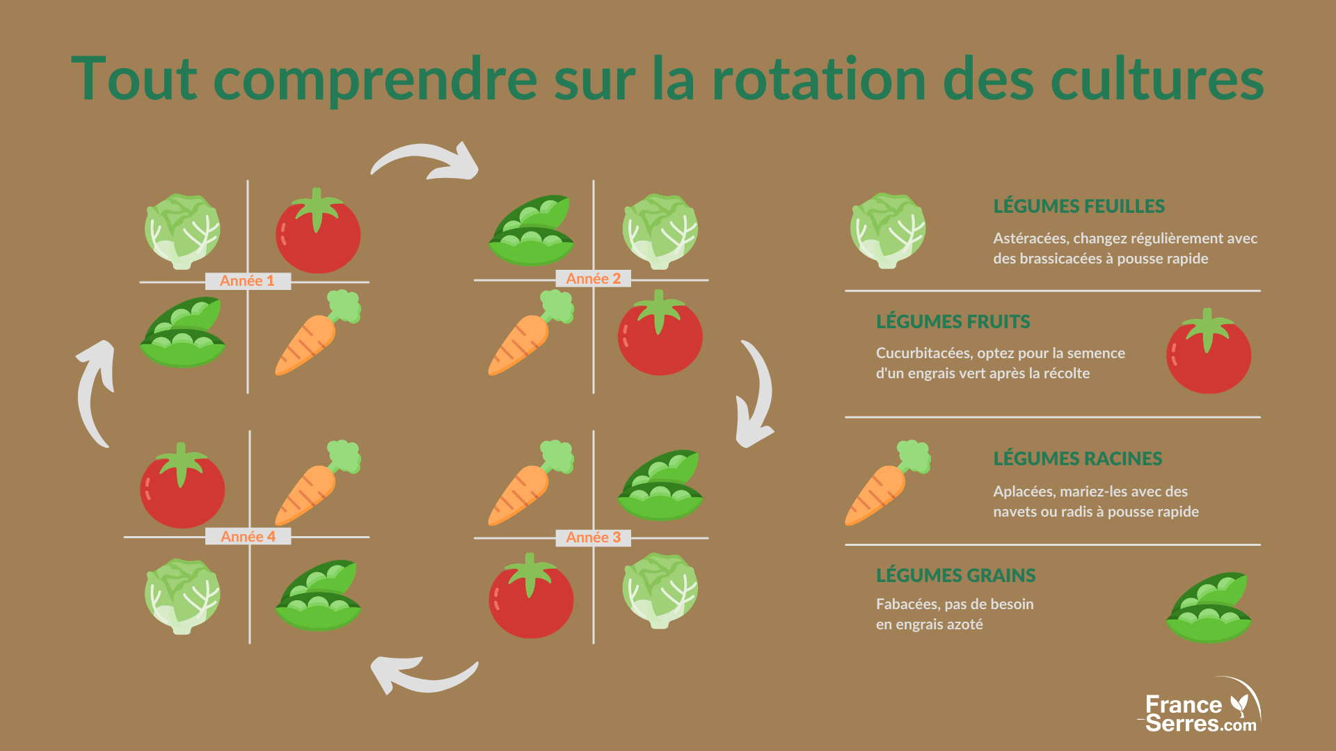 La rotation des cultures au potager - France Serres